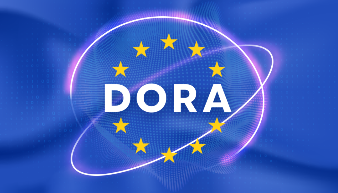 DORA RoI reporting software